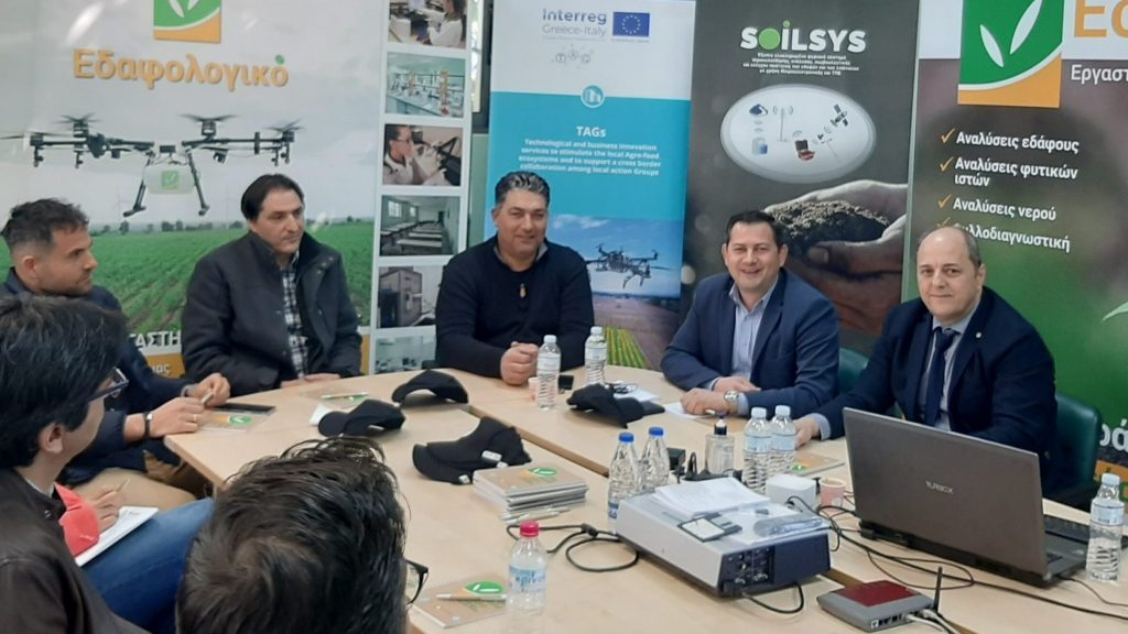 Νέα κουλτούρα για την καλλιέργεια της ελιάς από τη Δυτική Ελλάδα ...