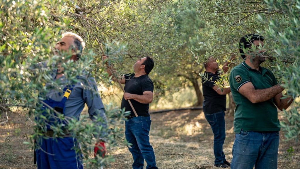 Με ολοκληρωμένο μοντέλο φροντίδας ο Συνεταιρισμός Αστερουσίων - Ελαίας ...