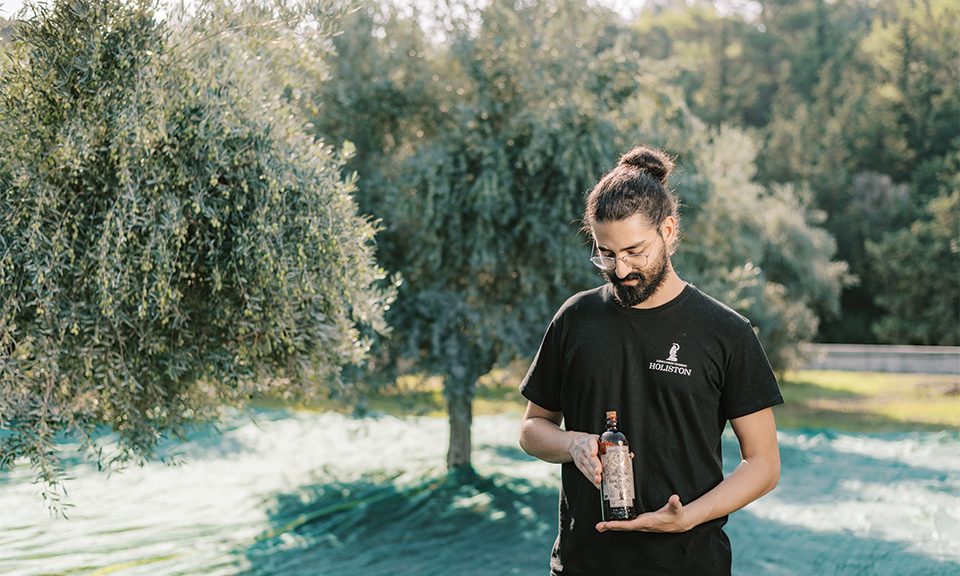 Στον ελαιώνα δένει ο ισχυρισμός υγείας με ένα πολυφαινολικό ελαιόλαδο ...